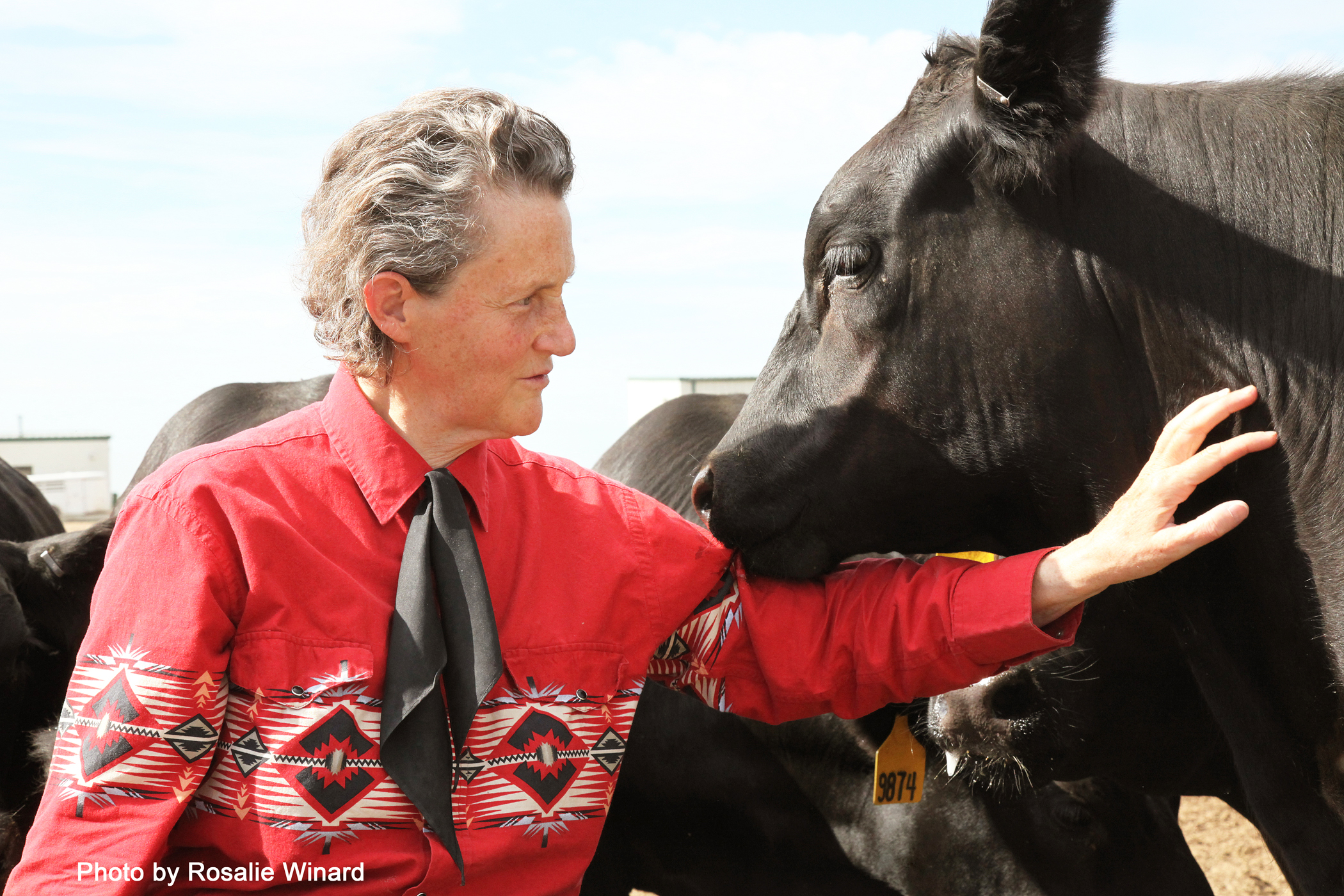Temple Grandin, animal welfare expert and advocate for people with ...